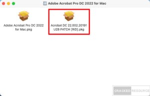 Adobe Acrobat Pro DC 2022 Activate and Win/Mac Free Download - Cracked ...