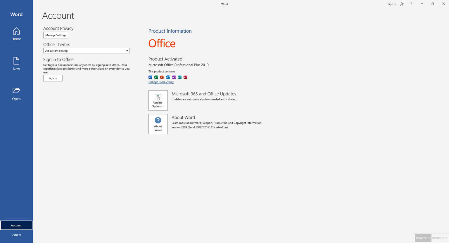Office 2019 ProPlus Activate and Free Download - Cracked Resource